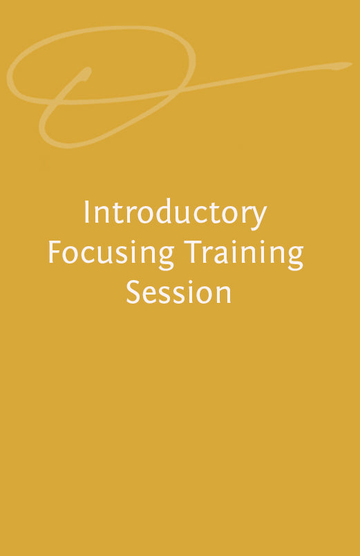 1. Introductory Focusing Training Session – The International Focusing ...